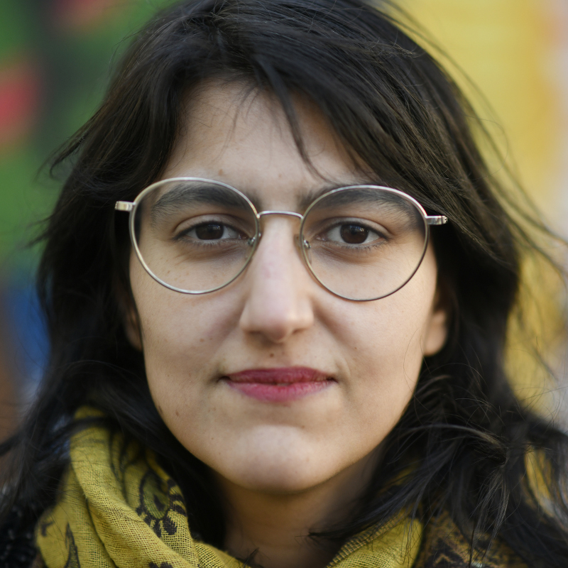 Puneh Ansari: Hoffnun'. Posts - mikrotext